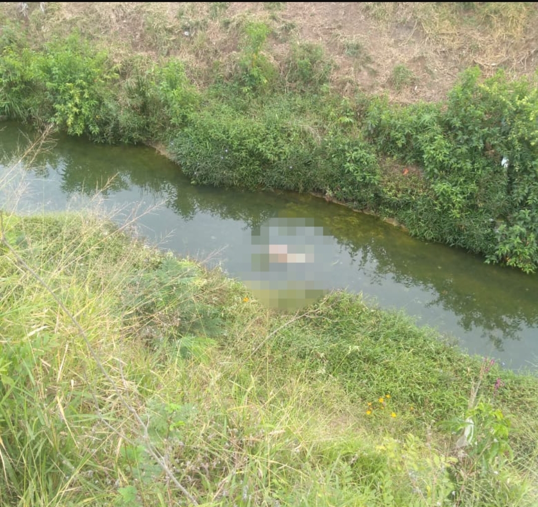 Corpo De Homem é Encontrado Em Estado De Decomposição Em Córrego